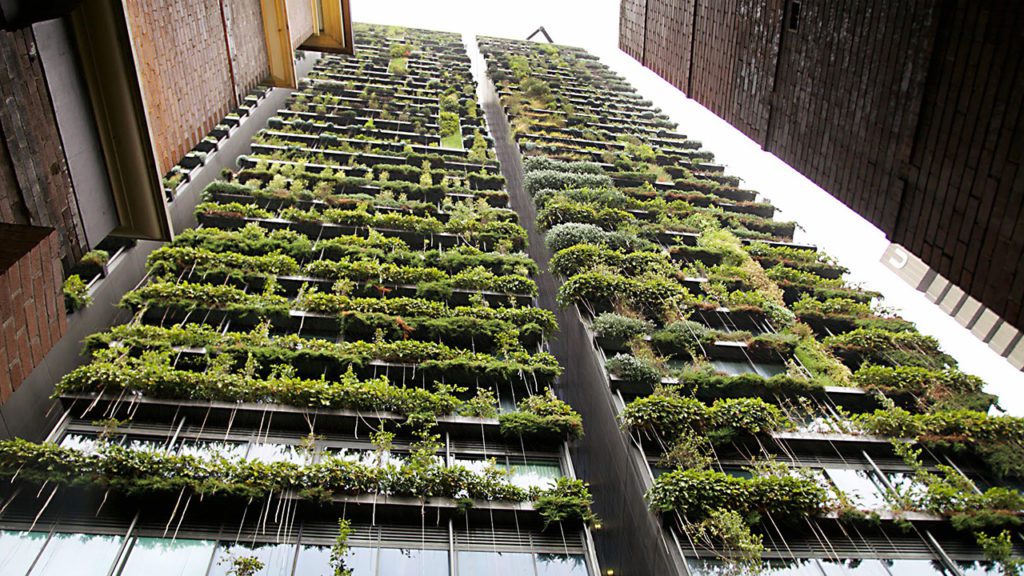 Eco Design for Those in an Engineering Design Technology Program