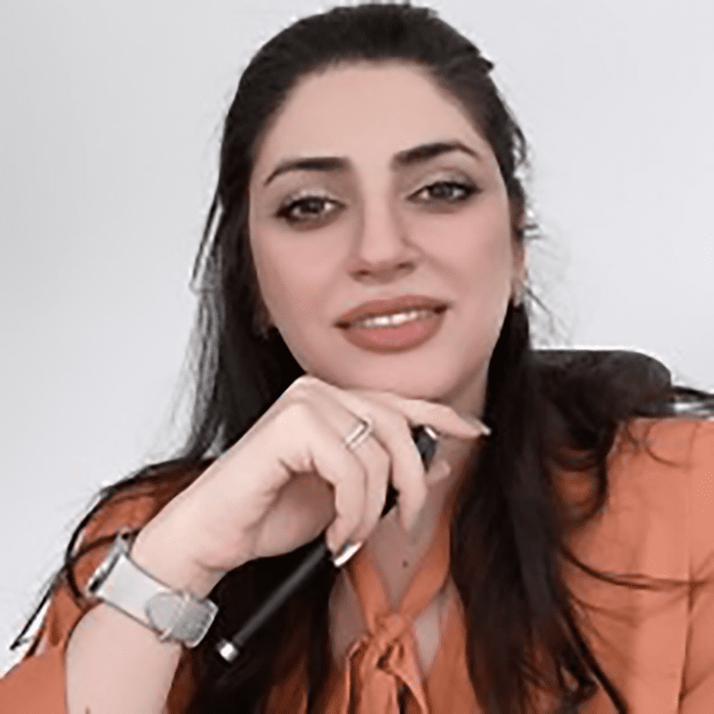 Toulou Bozorgzad | Digital School Student Showcase